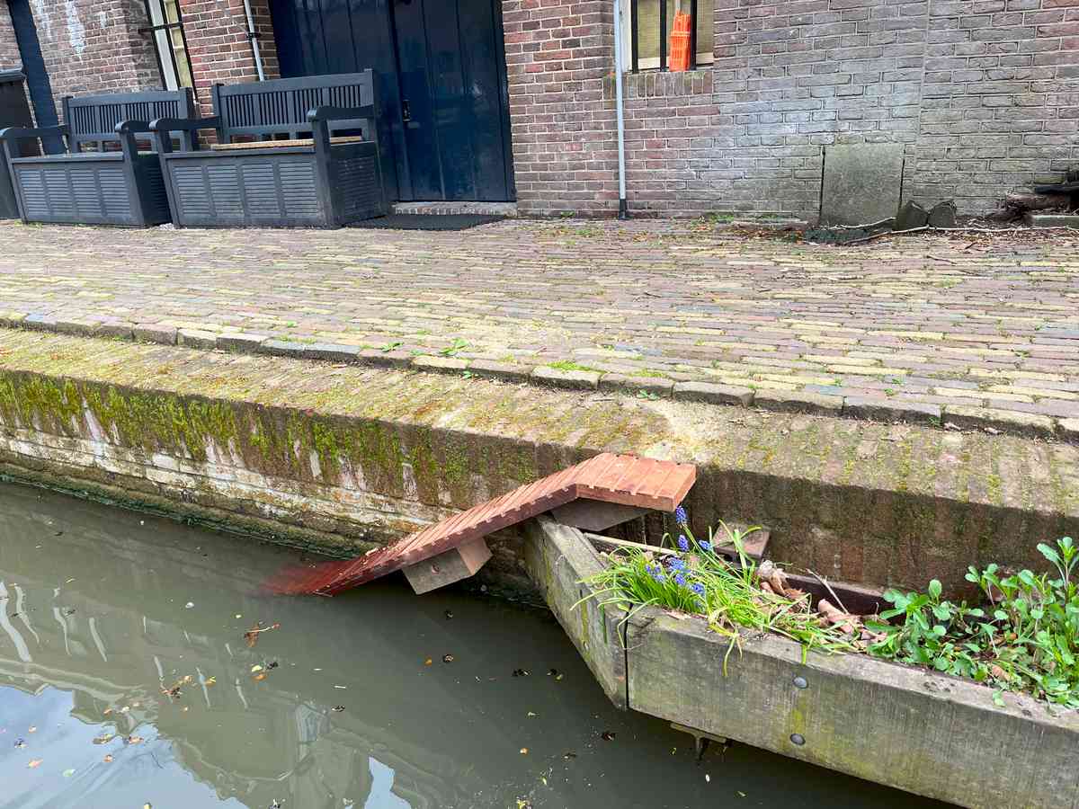 Faunatrappen Utrechtse grachten | HIP Groen